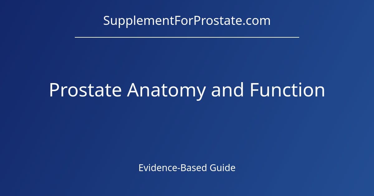 Exercise and Prostate Health: The Scientific Connection | Supplement ...